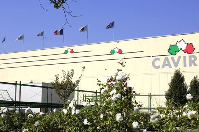 Alla Caviro: il vino quotidiano e green | Lambrusco Valley